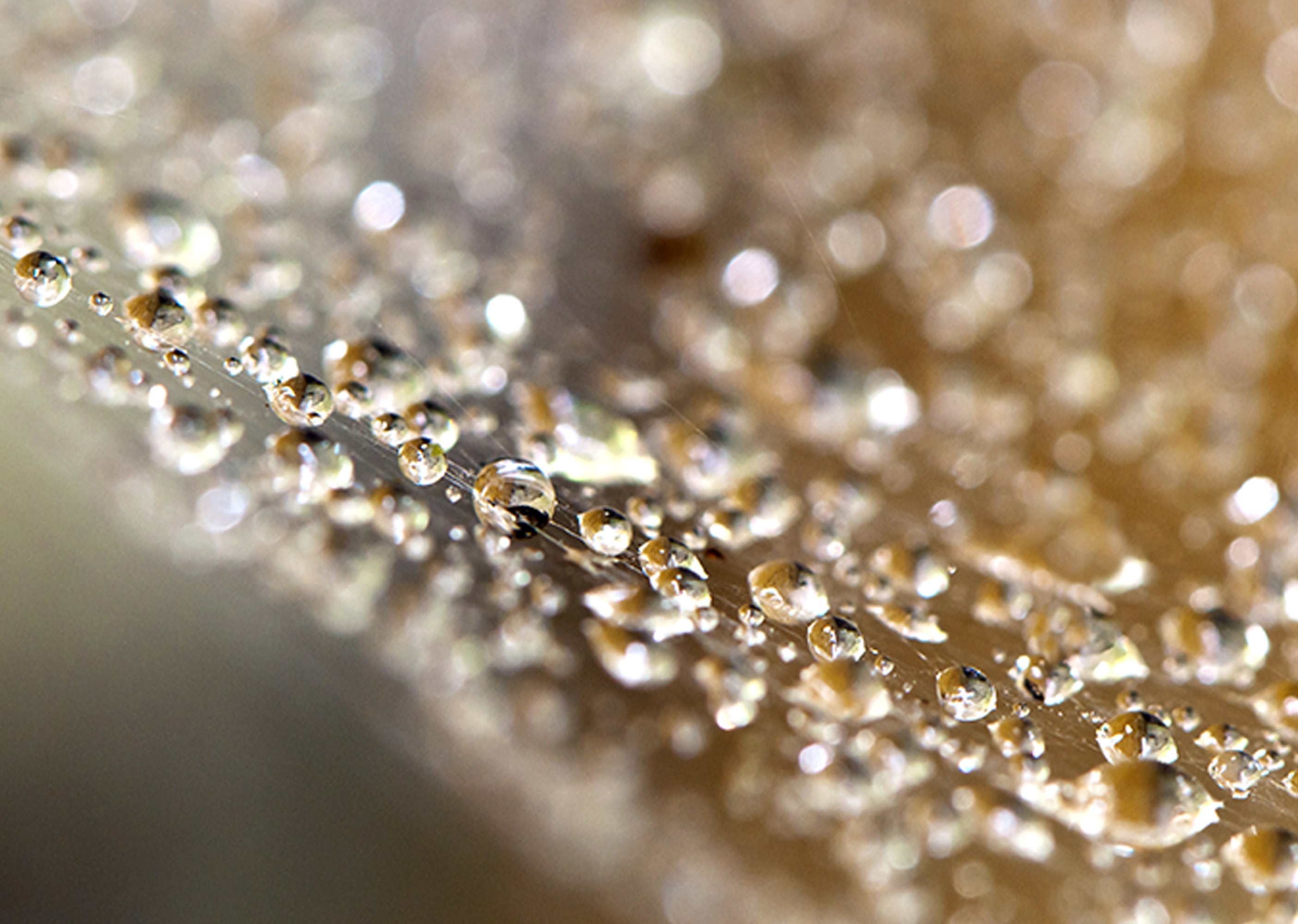 VITALITY – HECH Functional & Beauty Nutrition