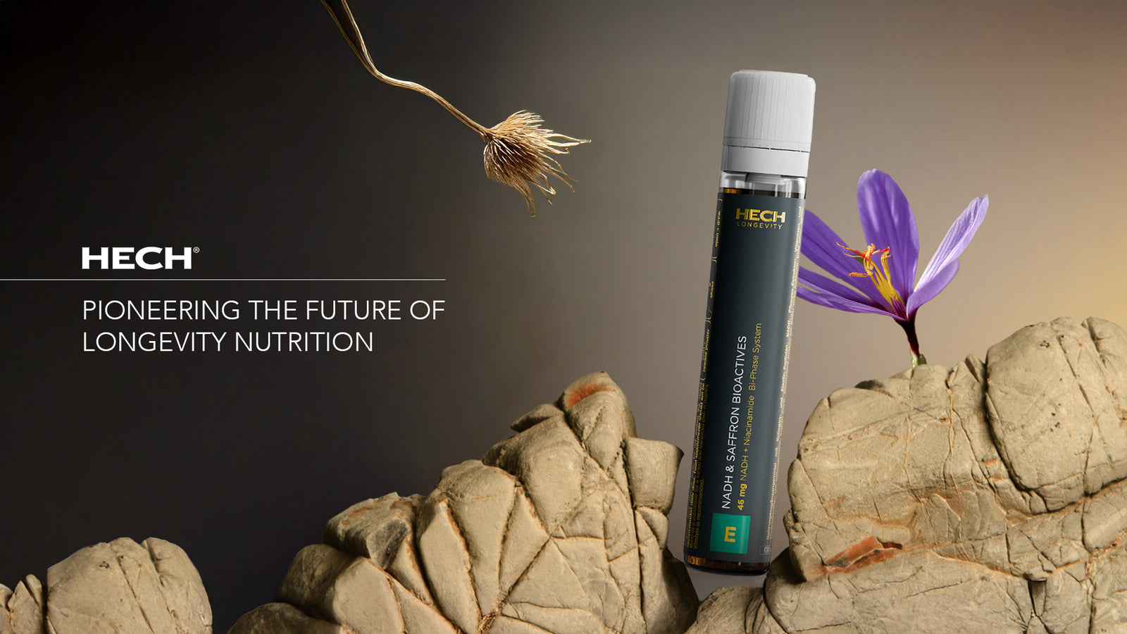 HECH Functional & Beauty Nutrition Germany