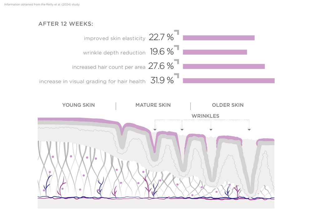 HECH Functional & Beauty Nutrition Germany
